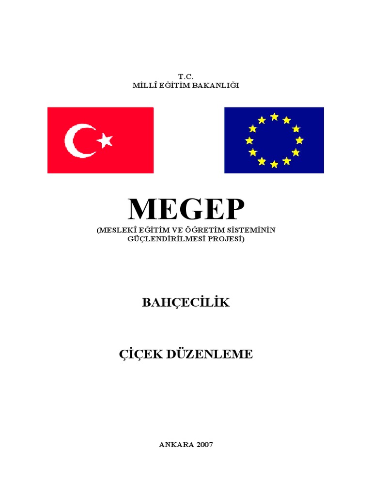 Megep Çiçek Düzenleme Teknikleri PDF | PDF