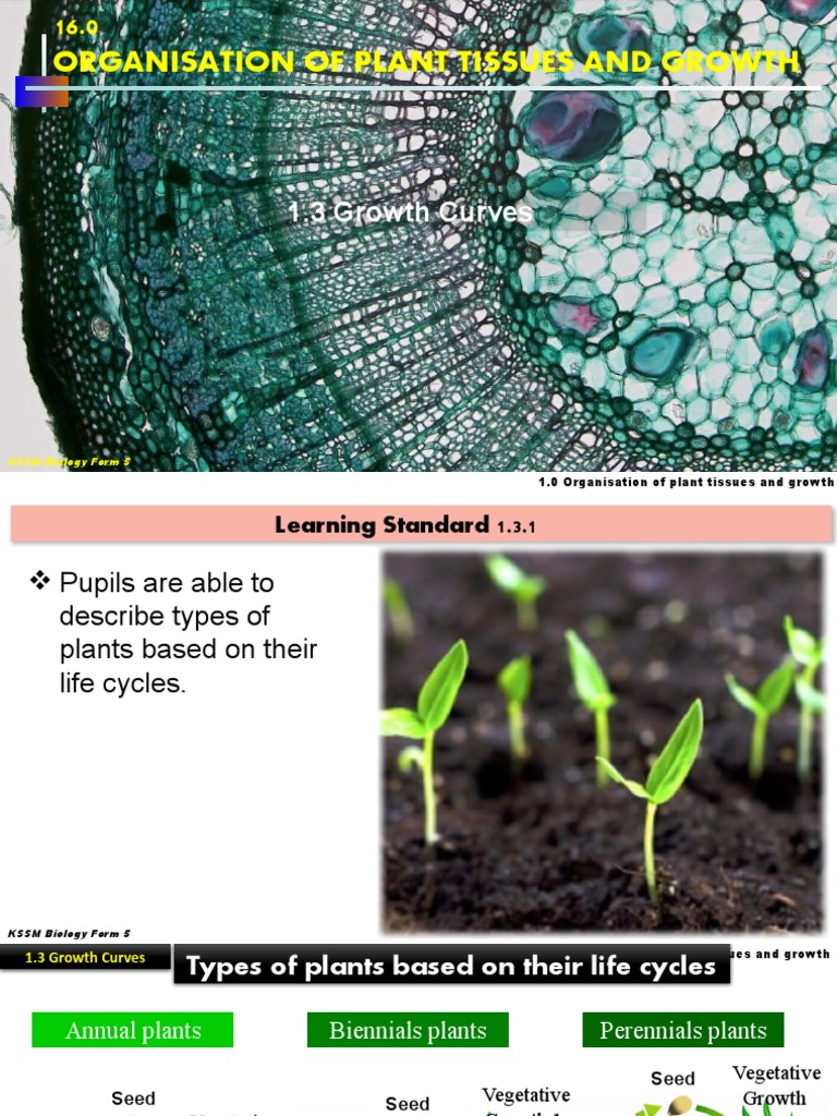 Biology Form 5 Chapter 1 Subtopic 1.3 Growth Curves | PDF | Perennial ... Biology Form 5 Chapter 1 Subtopic 1.3 Growth Curves | PDF | Perennial ...