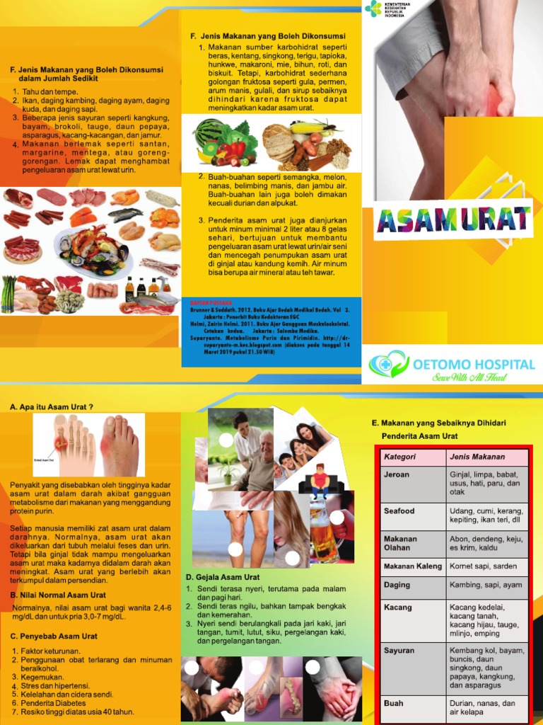 Leaflet Asam Urat | PDF