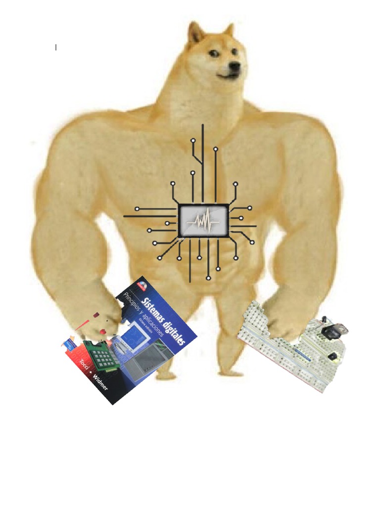 Chems Mamadisimo | PDF