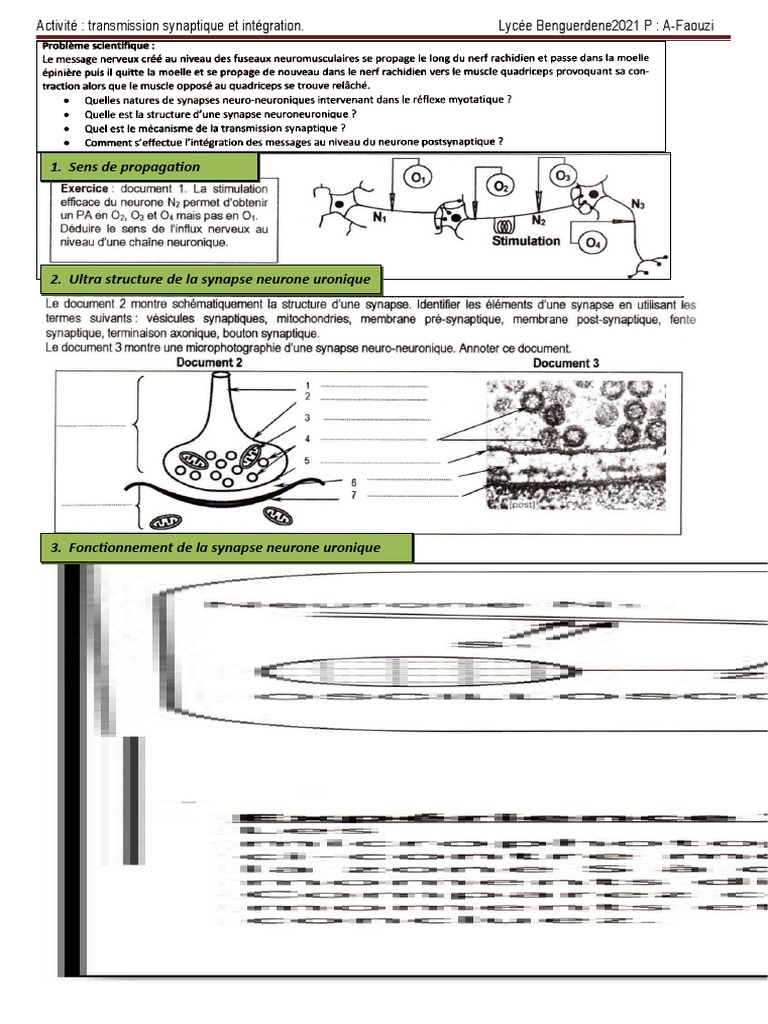 Activ Trans Syn.2021 | PDF