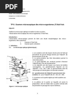 Dénombrements Bactériens TD | PDF | Bactérie | Microbiologie