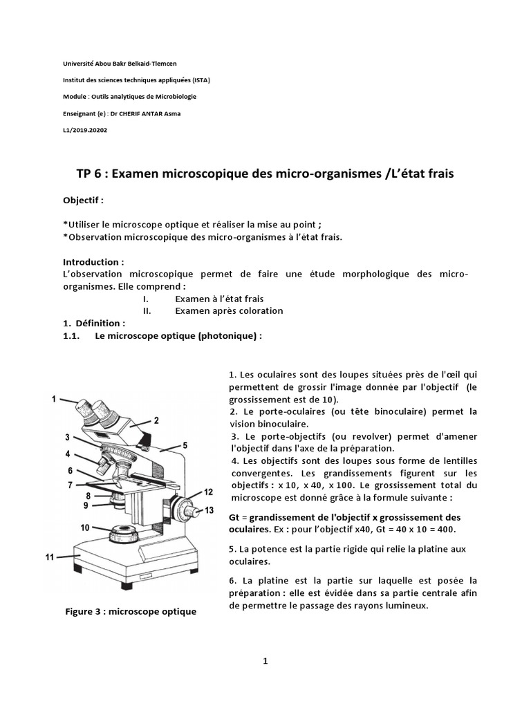 Examen microscopique à l'état frais | PDF | Microbiologie | Chimie