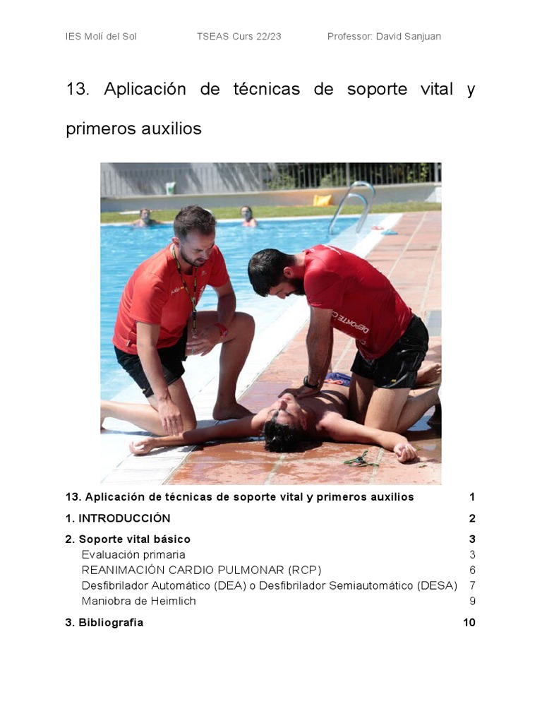 Aplicación de Técnicas de Soporte Vital y Primeros Auxilios | PDF | Reanimación cardiopulmonar ...
