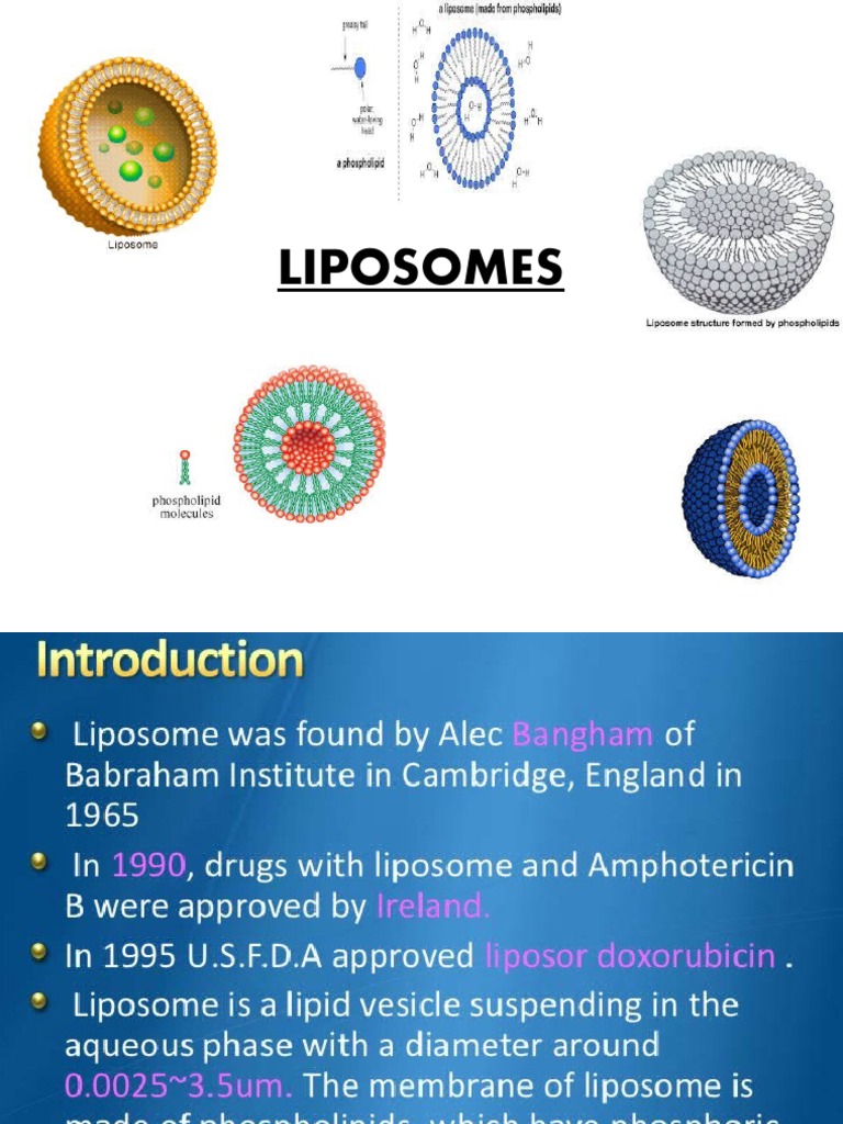 LIPOSOMES | PDF
