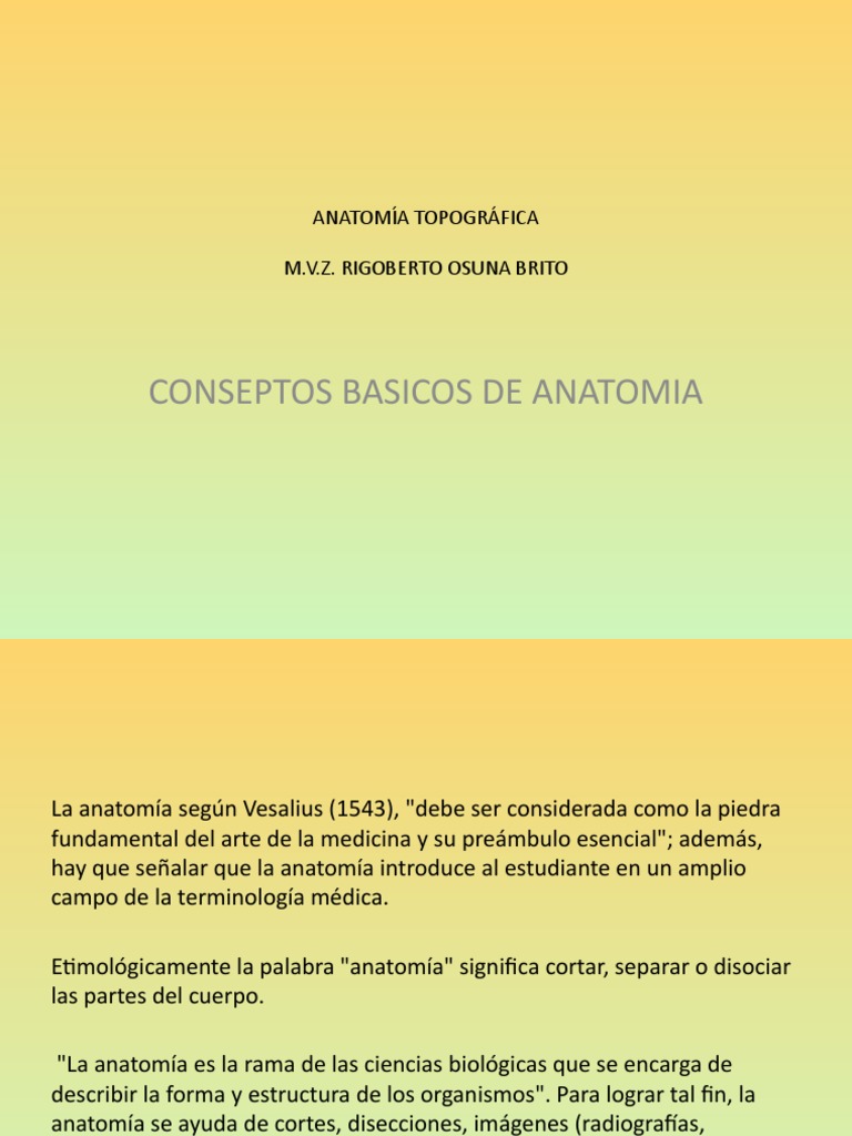 Anatomia Descriptiva Unidad I y Ii | Descargar gratis PDF | Términos ...