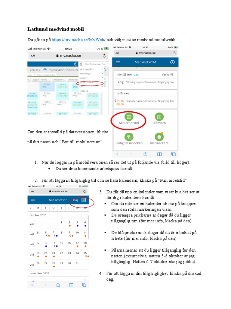 Lathund Medvind Mobil | PDF