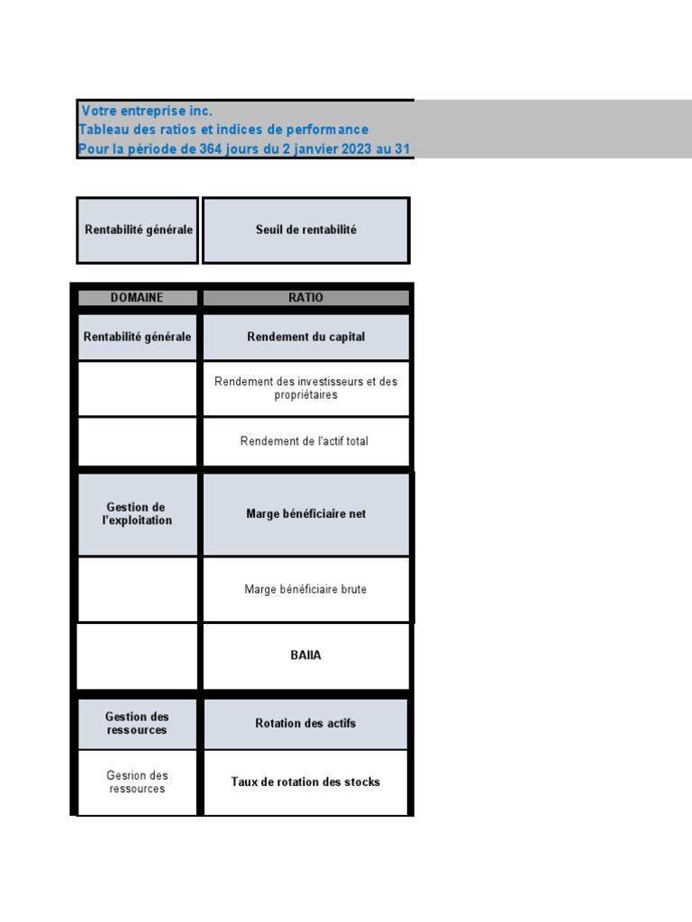 Tableau des Ratios de Performance 2023 | PDF | Droit