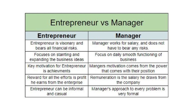 Entrepreneur Vs Manager.pptx | PDF