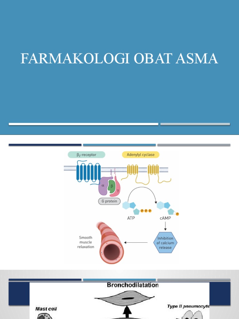 Farmakologi Obat Asma | PDF