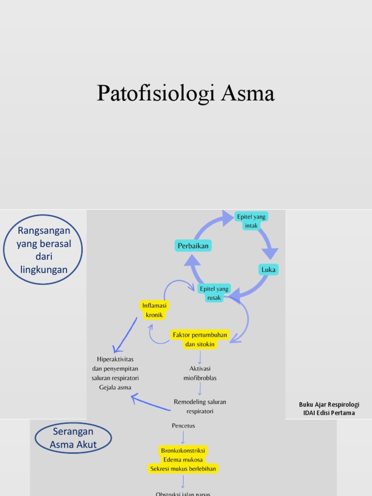 Patofisiologi Asma | PDF
