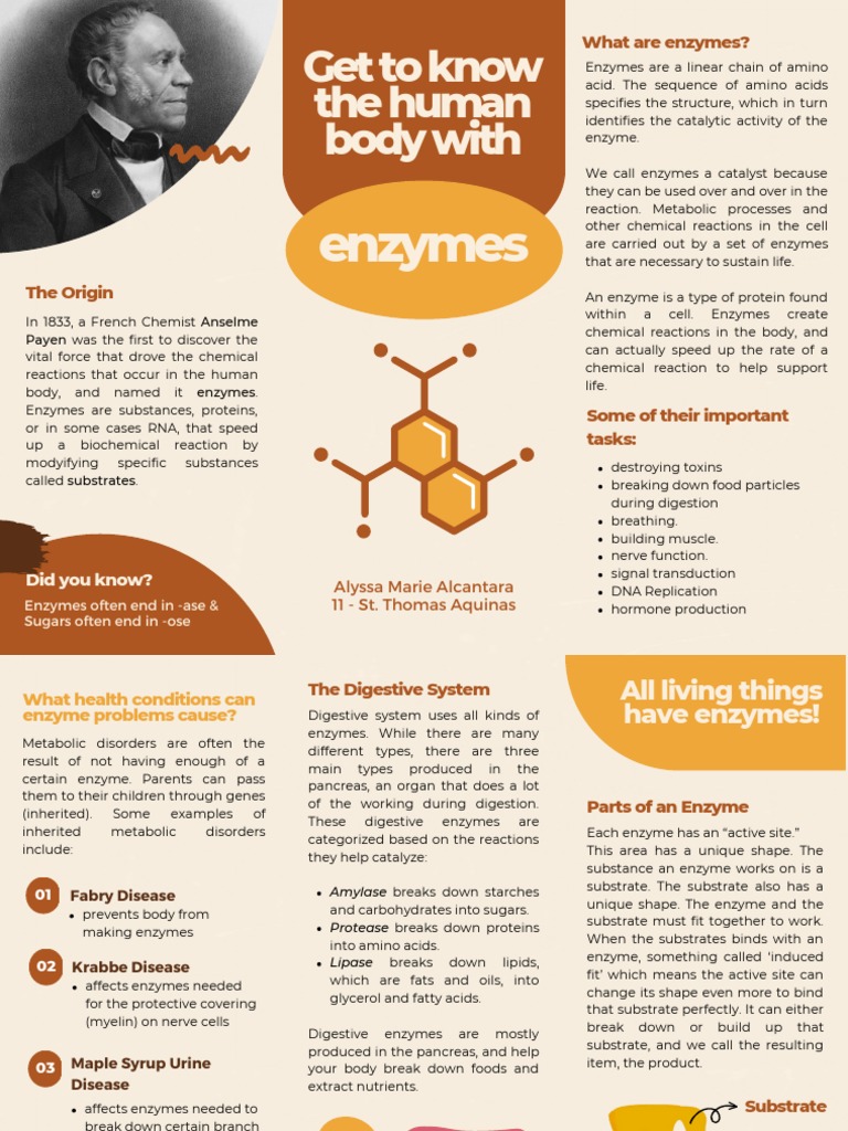 Enzyme Brochure Gen Chem PT | PDF | Enzyme | Proteins
