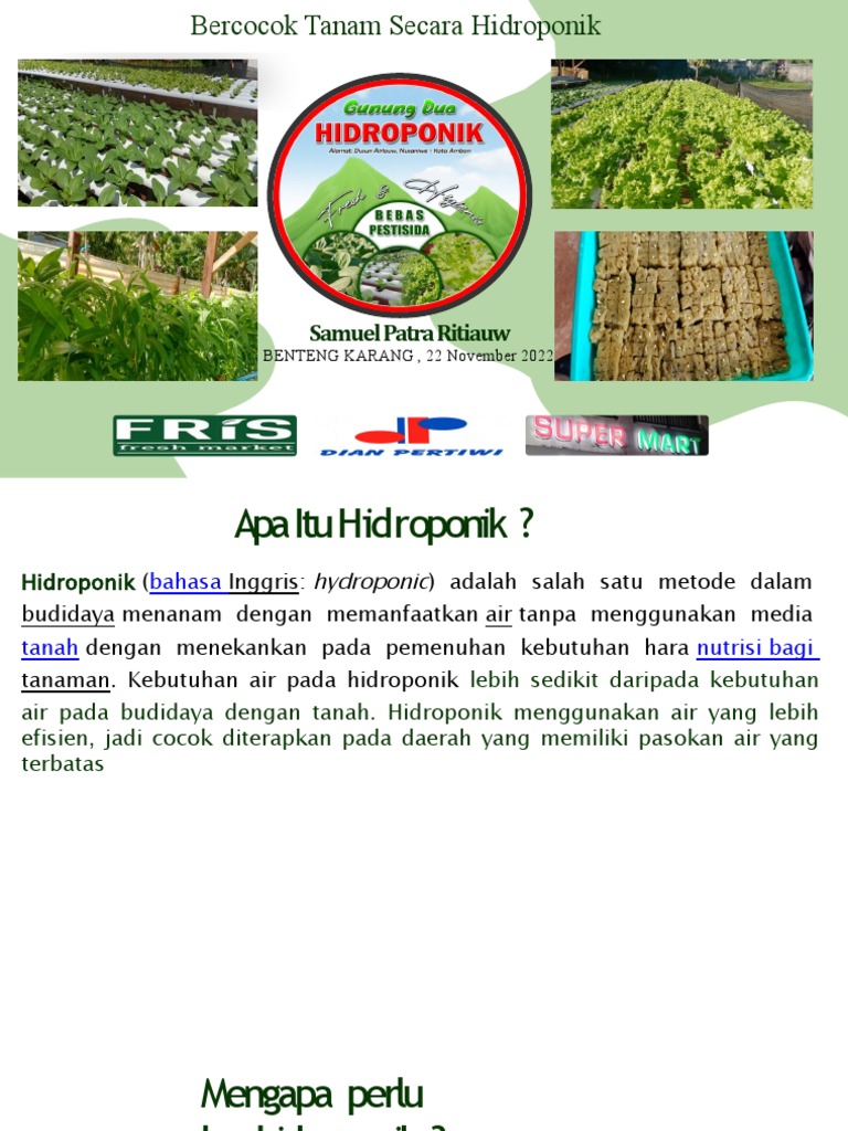 Bercocok Tanam Secara Hidroponik | PDF