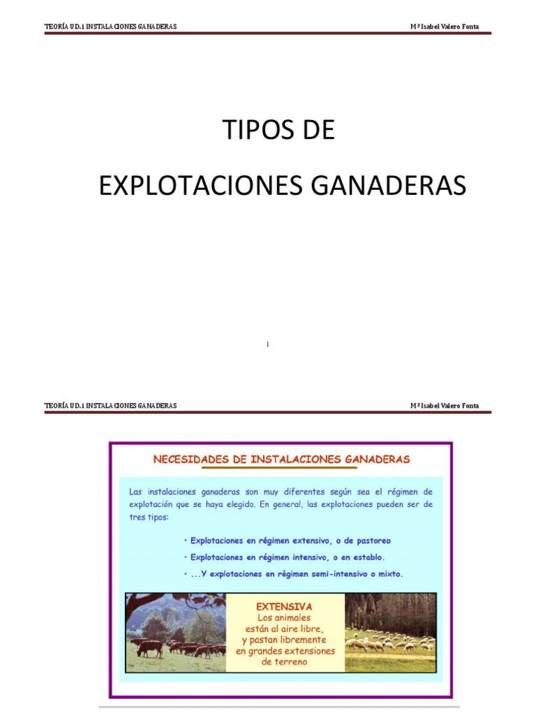 Tipos de Explotaciones Ganaderas | PDF