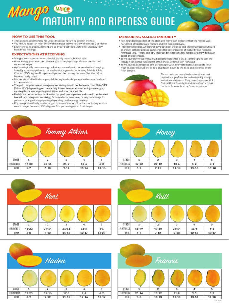 Maturity-Poster Hi | PDF | Mango | Vegan Cuisine