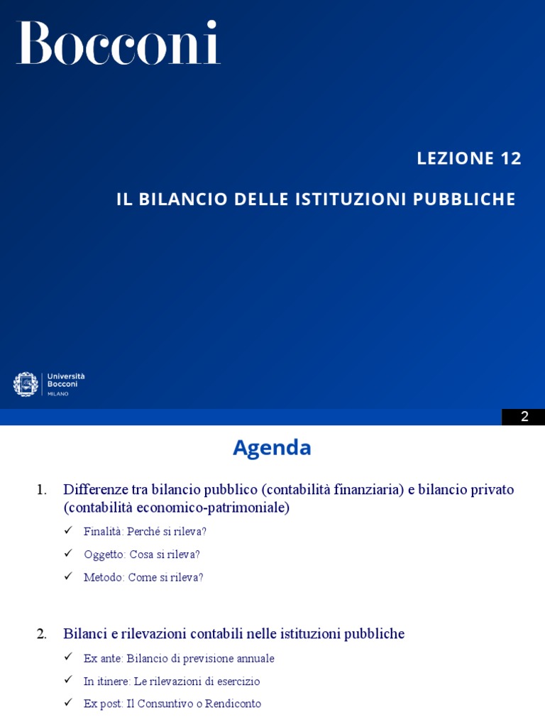 L12 - Cap. 10 - Contabilità Nelle IP - AGG | PDF