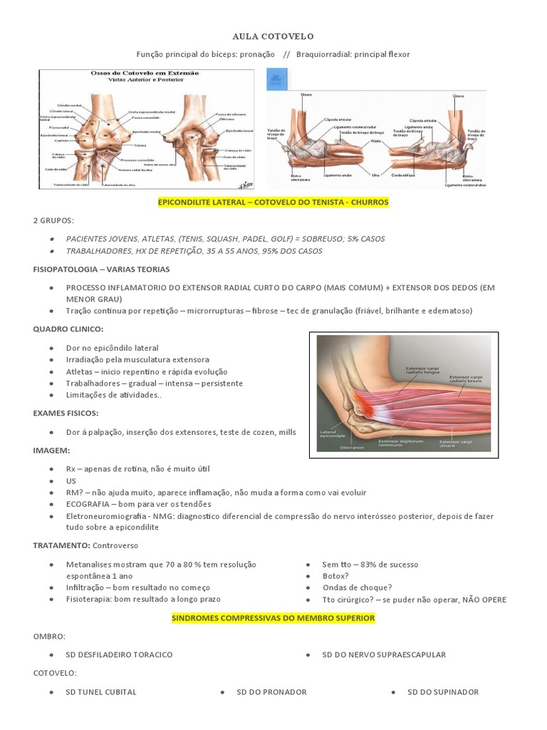 COTOVELO | PDF | Membros (anatomia) | Especialidades médicas