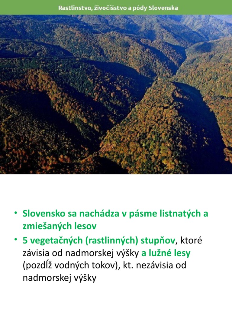 Rastlinstvo A Živočíšstvo Slovenska | PDF