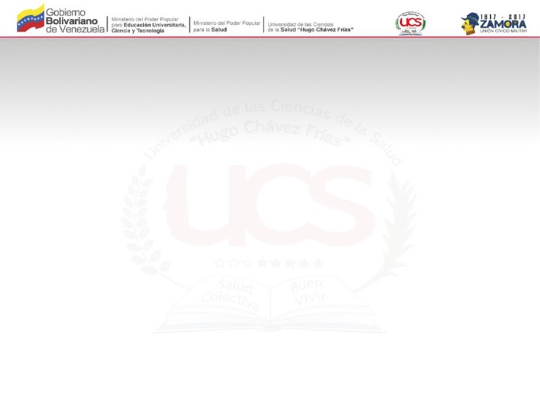 Presentacion Ucs Gris | PDF