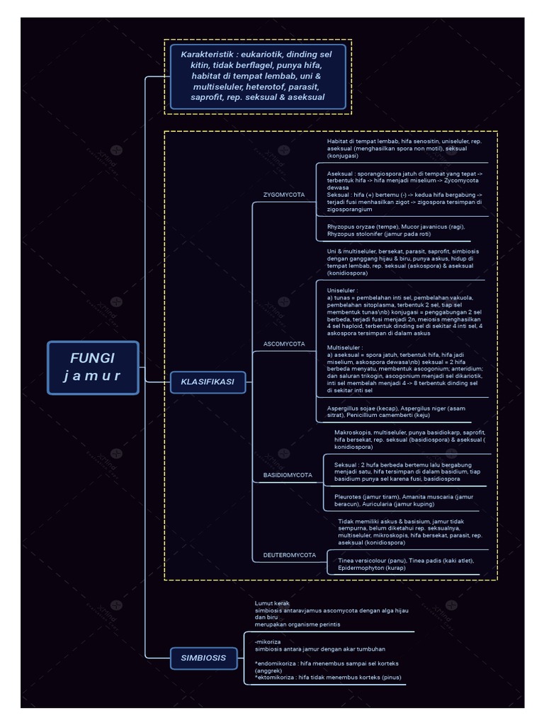 Bio Fungi Mindmap PDF | PDF | Sains & Matematika