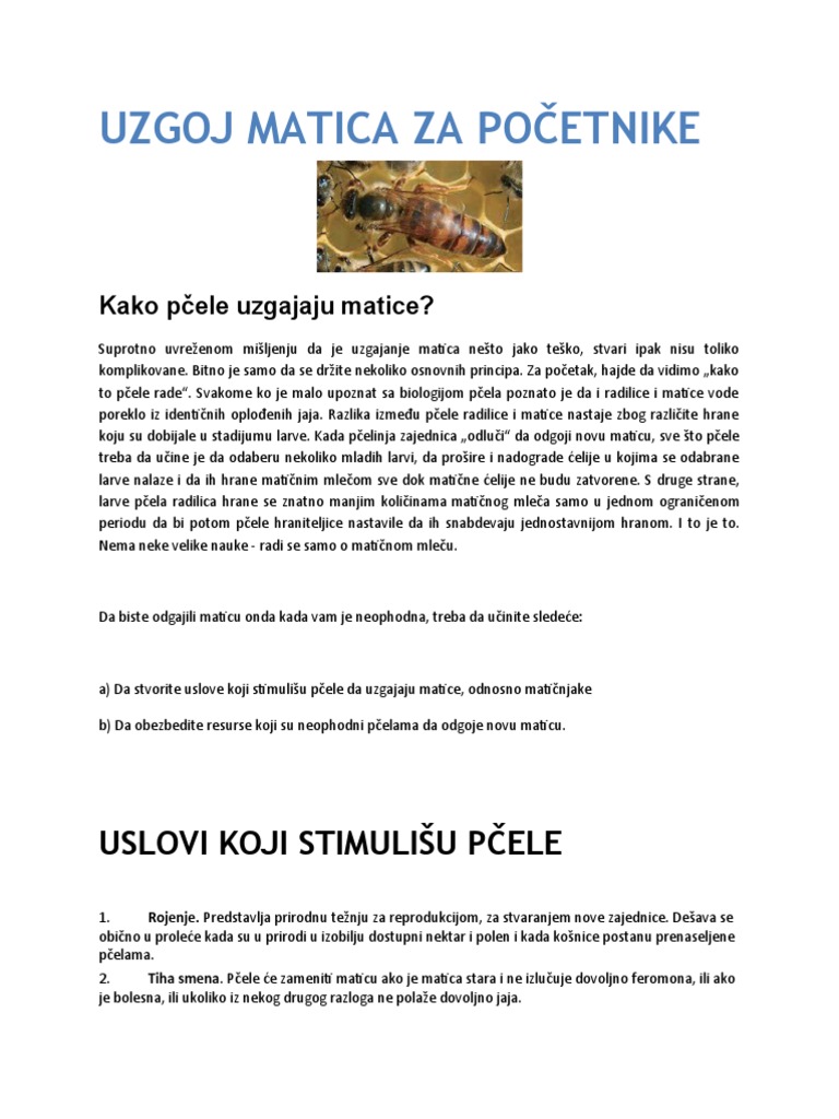 Rojenje Pcela | PDF