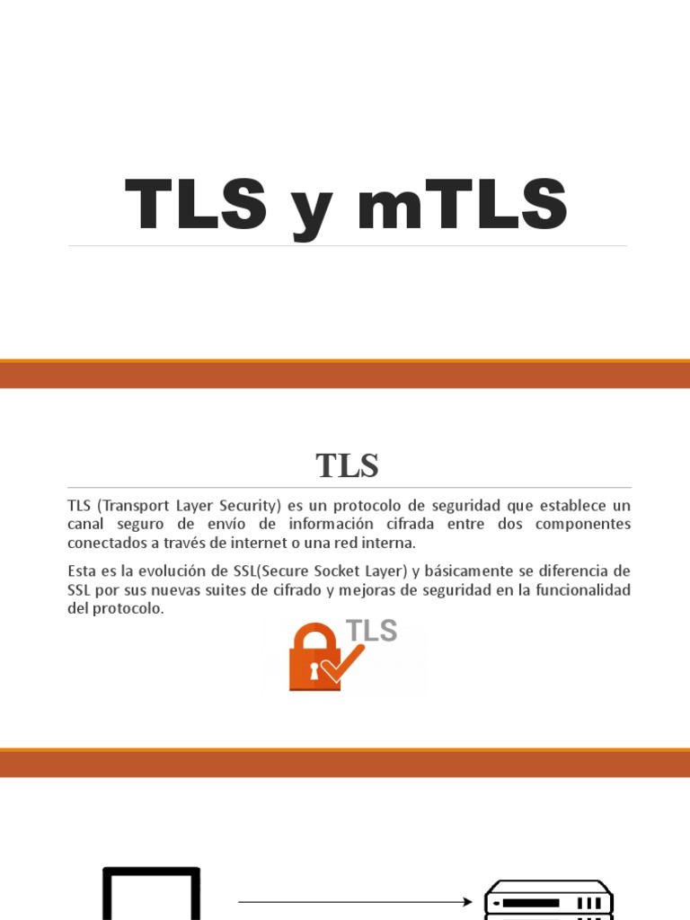 TLS y MTLS | PDF | Transport Layer Security | Criptografía de clave pública