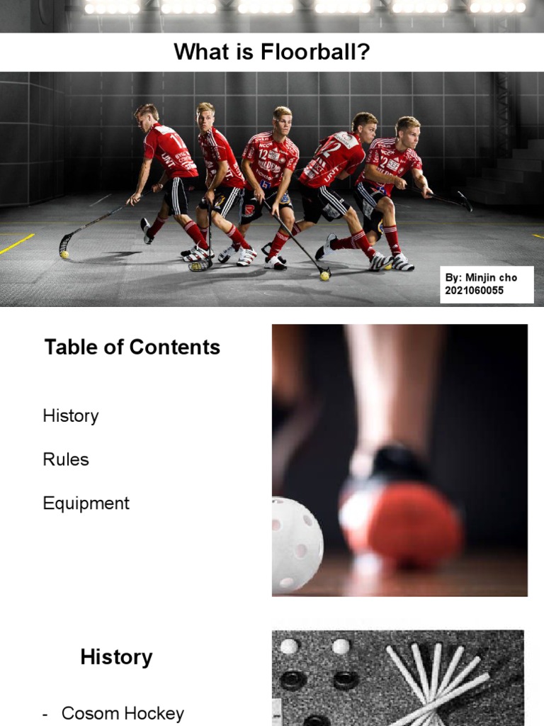 What Is Floorball | PDF