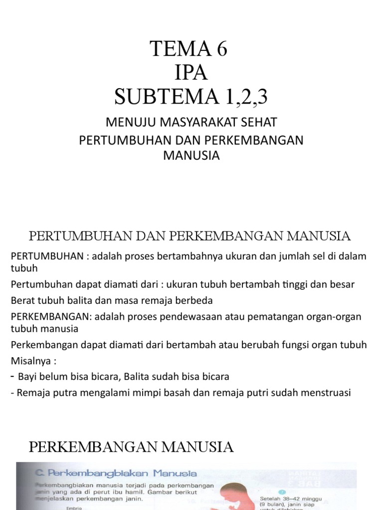 TEMA 6 IPA Subtema 1,2,3 | PDF