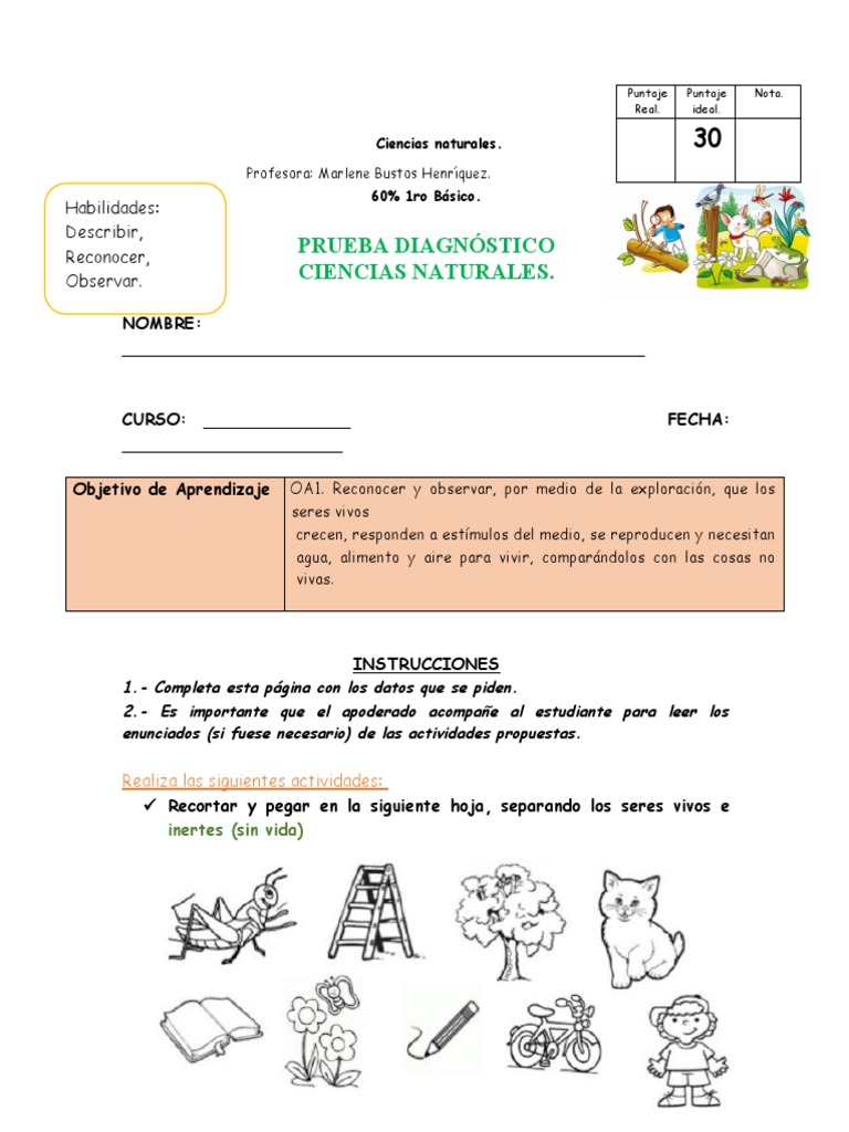 PRUEBA DIAGNÓSTICO 1ro CIENCIAS 2do Semestre. | PDF | Relaciones ...