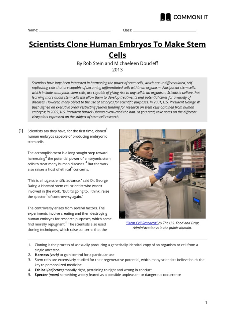Scientists Clone Human Embryos To Make Stem Cells-Teacher-12 | PDF ...