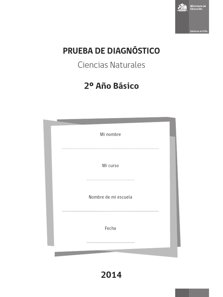 Prueba Diagnóstico Ciencias Naturales 2º Básico | PDF | Lentes ...