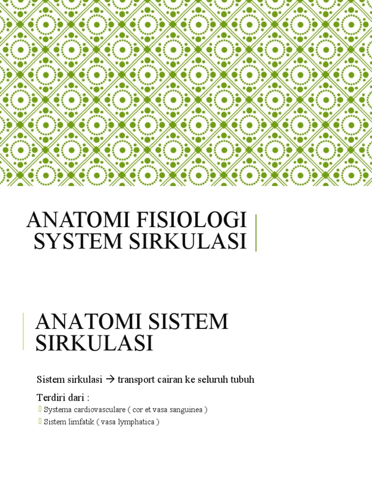 3 Anatomi Pembuluh Darah | PDF | Sains & Matematika