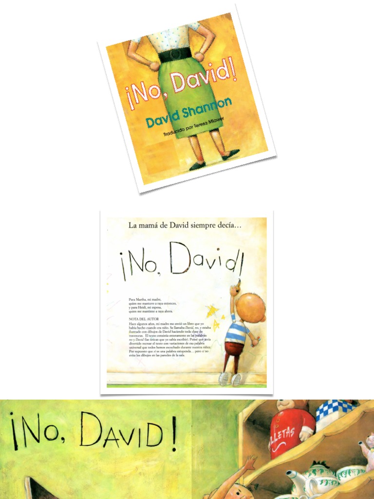 ¡No, David! PDF | PDF