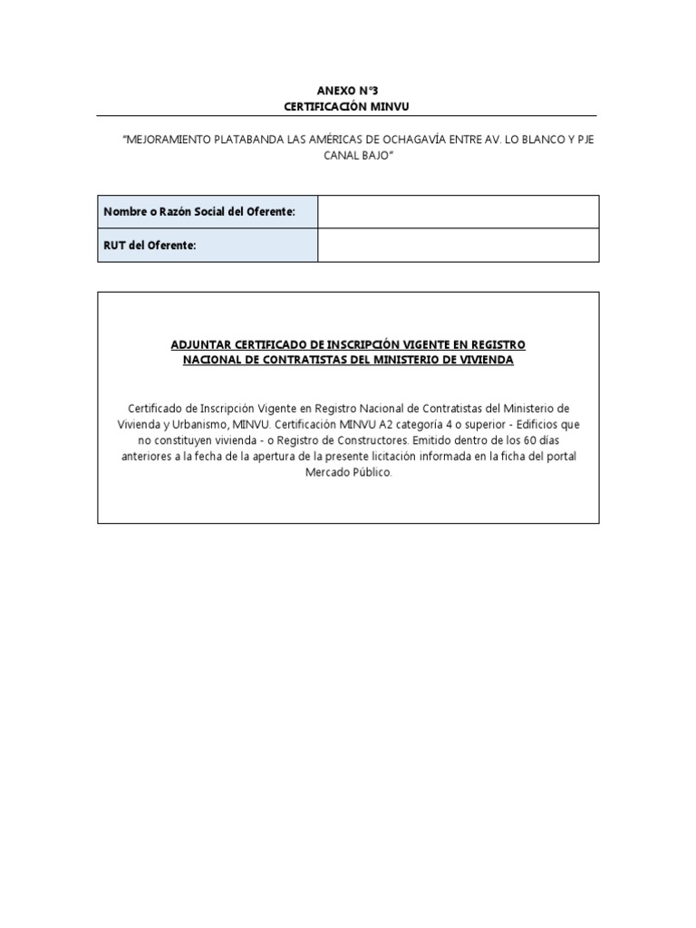 Anexo N°3 Editable | PDF