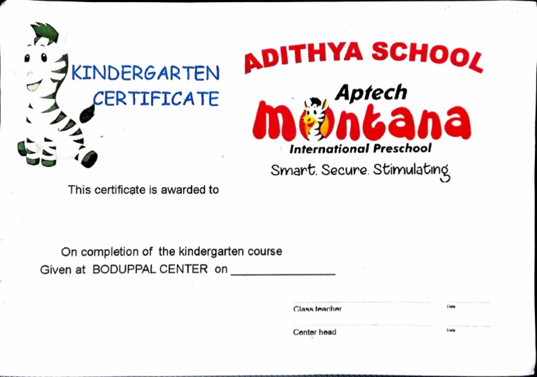 Aptech Certificate | PDF