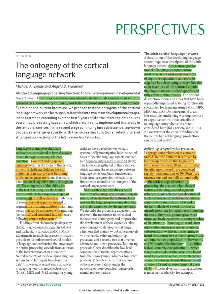 The Ontogeny of The Cortical Language Network | PDF | Word | Speech