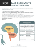 Dan Siegel-Wheel of Awareness Guided Meditation | PDF | Awareness | Mind