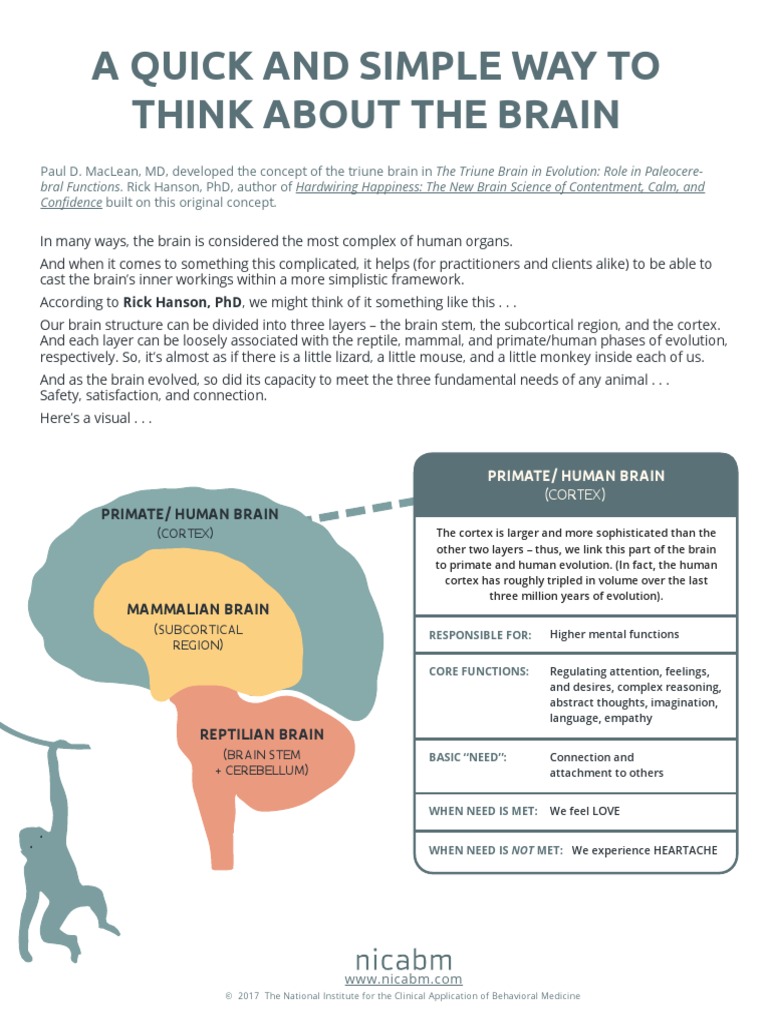 NICABM Brain Infographic PrintFriendly PDF | PDF | Brain | Cerebellum