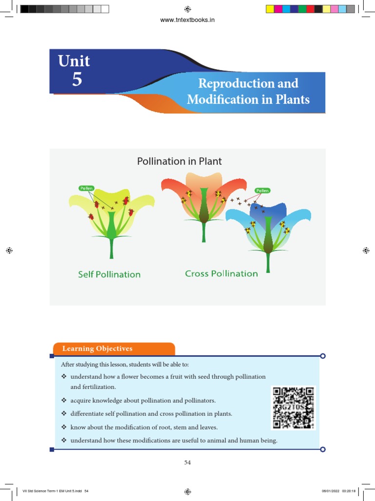 Reproduction and Modification in Plants English | PDF | Flowers | Petal