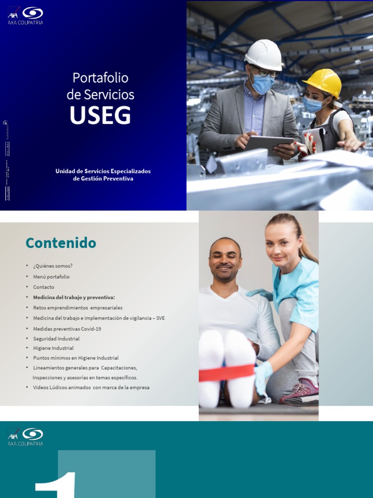 Portafolio Oficial Useg Enero 2023 | PDF | Higiene Ocupacional ...