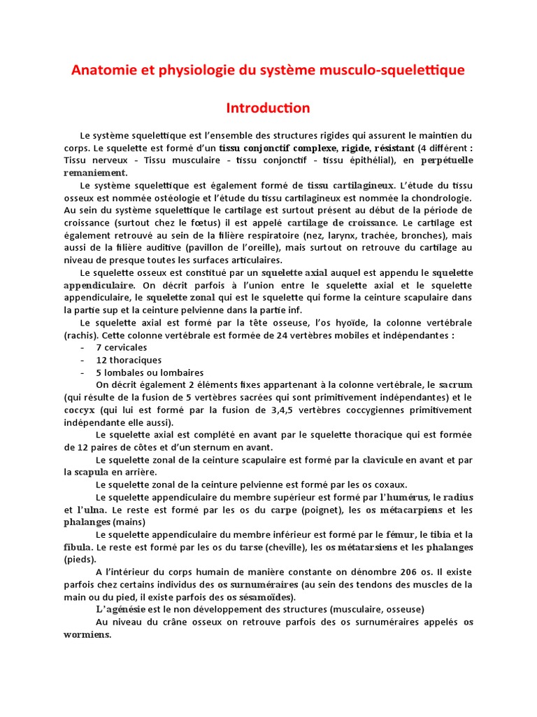 Anatomie du système musculo-squelettique | PDF | Articulation (anatomie ...