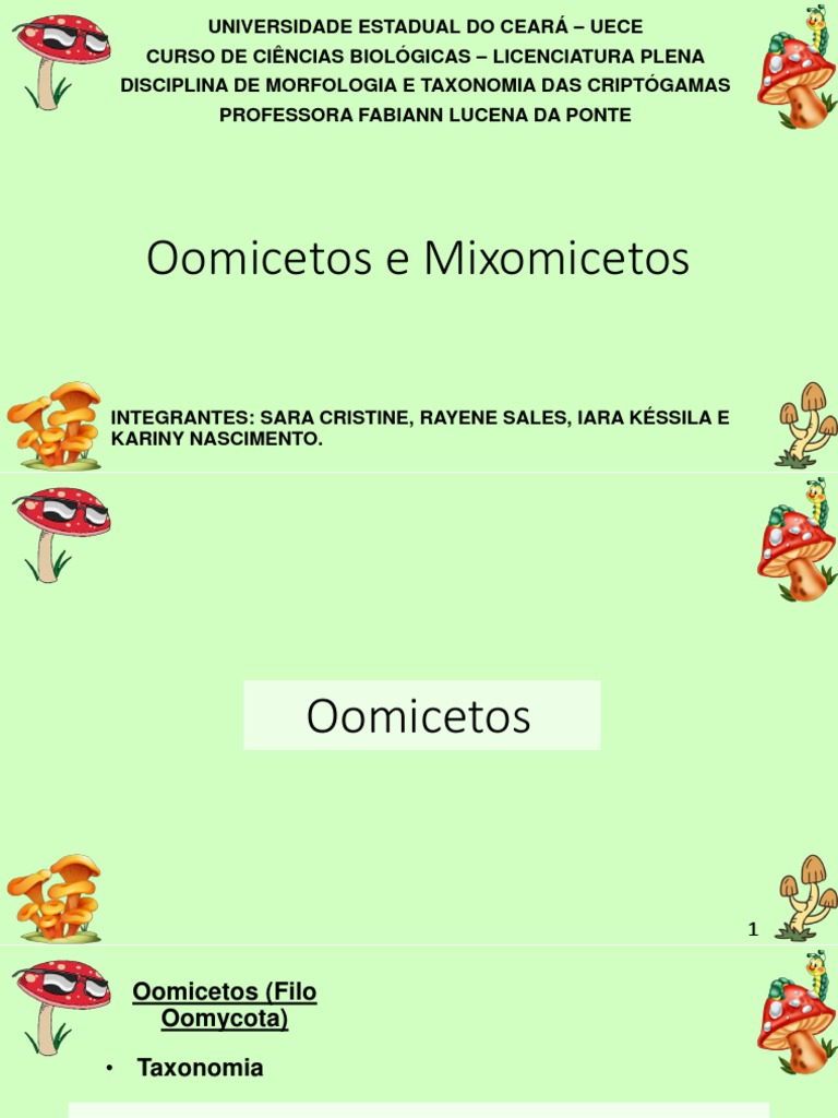 Oomicetos e Mixomicetos: Características e Ciclo de Vida | PDF | Fungo ...
