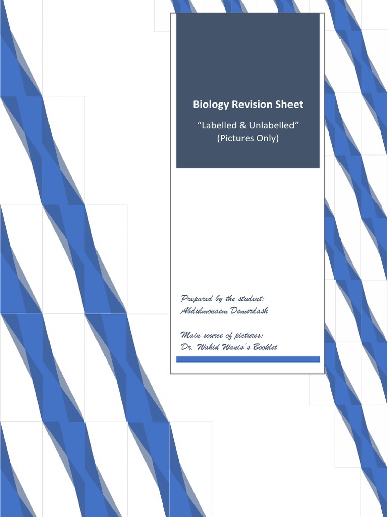 Biology Student Abdulmonaem Demerdash's Extensive Labeled and Unlabeled ...