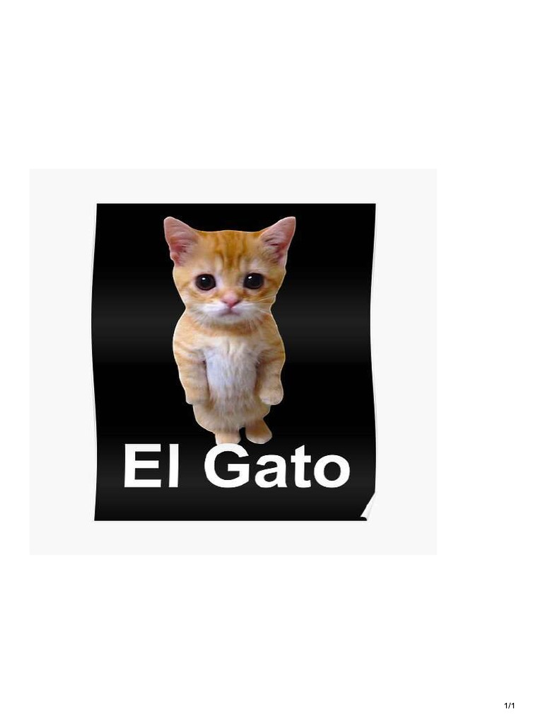El Gato PDF | PDF