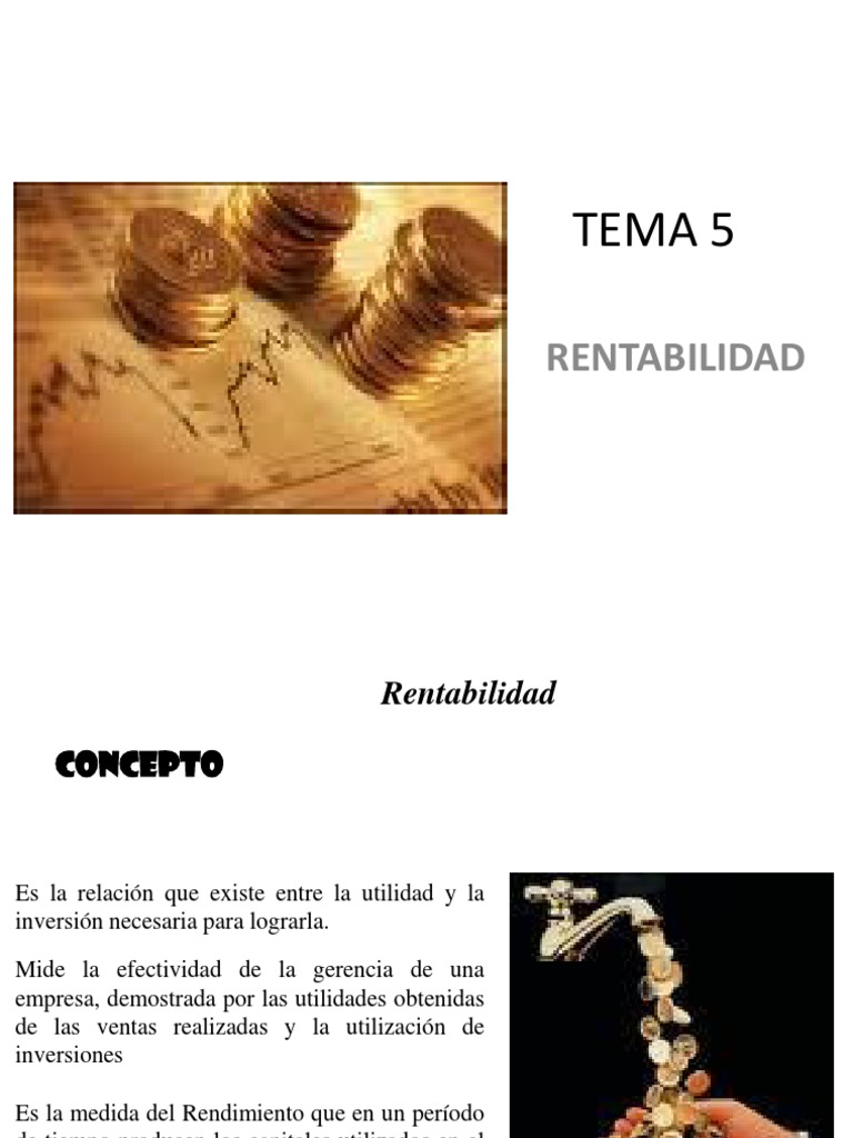 Tema 5 Rentabilidad Uv | PDF | Rentabilidad sobre recursos propios | Compartir (Finanzas)