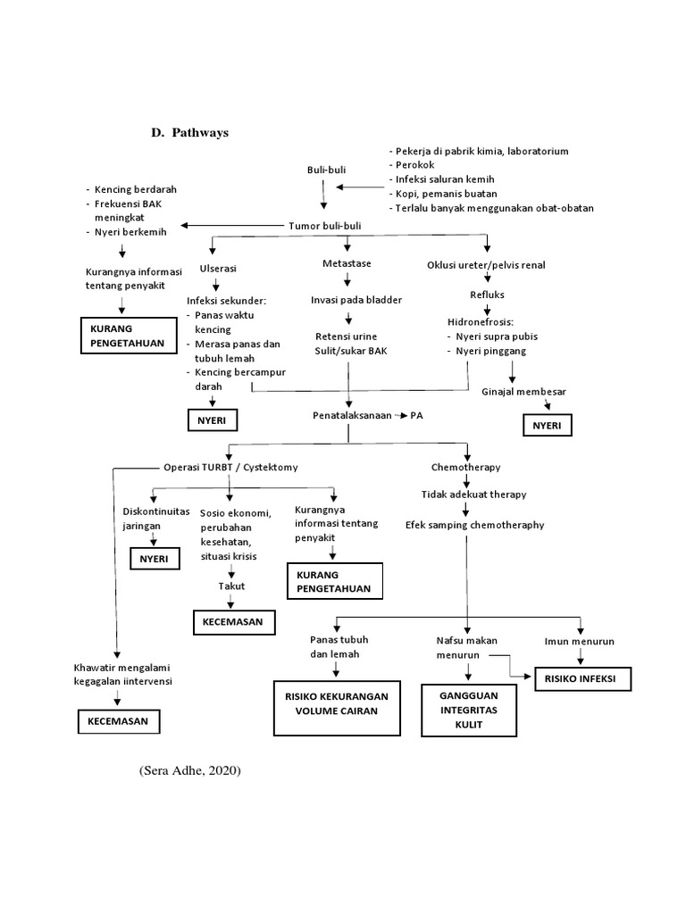 Pathways Ca Buli | PDF