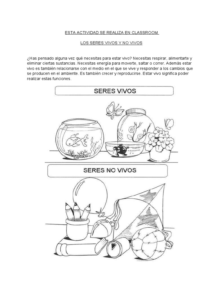 (Template) SERES VIVOS Y NO VIVOS. Día Del Animal | PDF