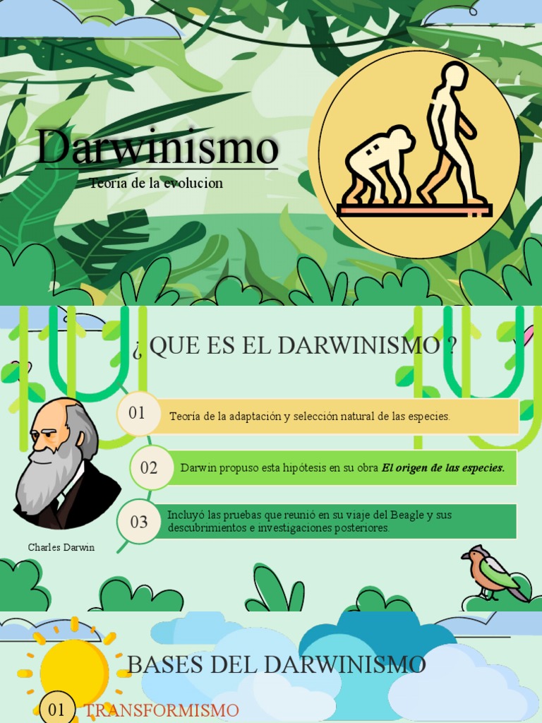 Teoria Del Dawinismo | PDF | Evolución | En el origen de las especies