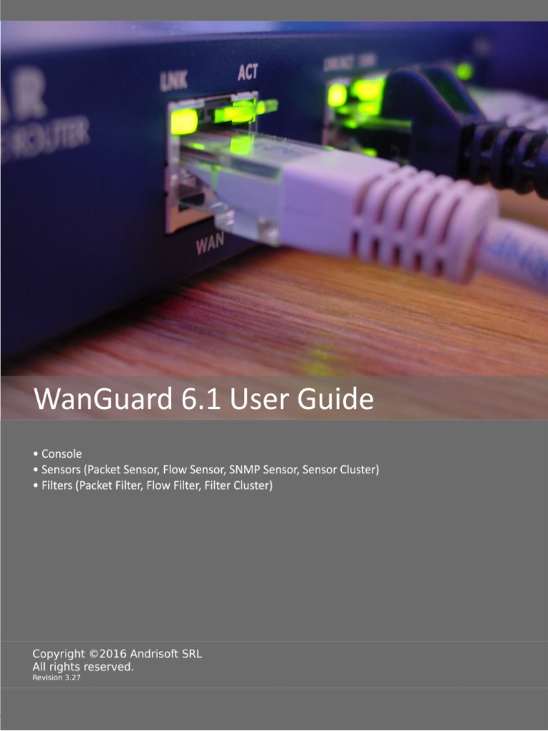 Wanguard 6 1 | PDF | Denial Of Service Attack | Computer Network