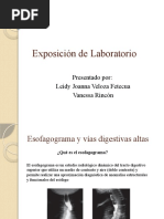 Estudio de Tránsito Intestinal con Bario | PDF | Radiología | Rayo X